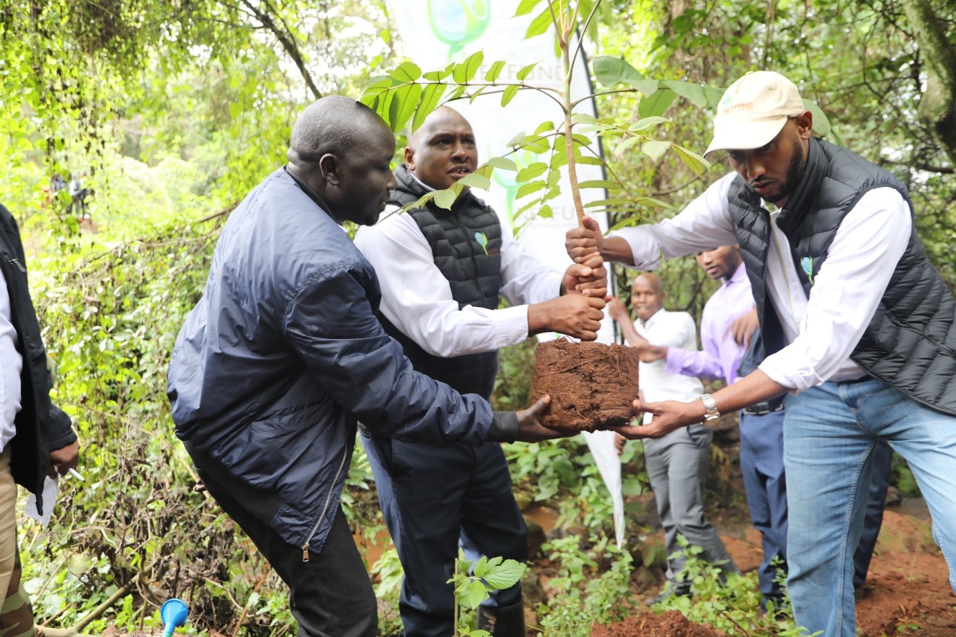 NETFUND Spearheads Restoration of the Gitwe Wetlands, Kibiko Forest ...